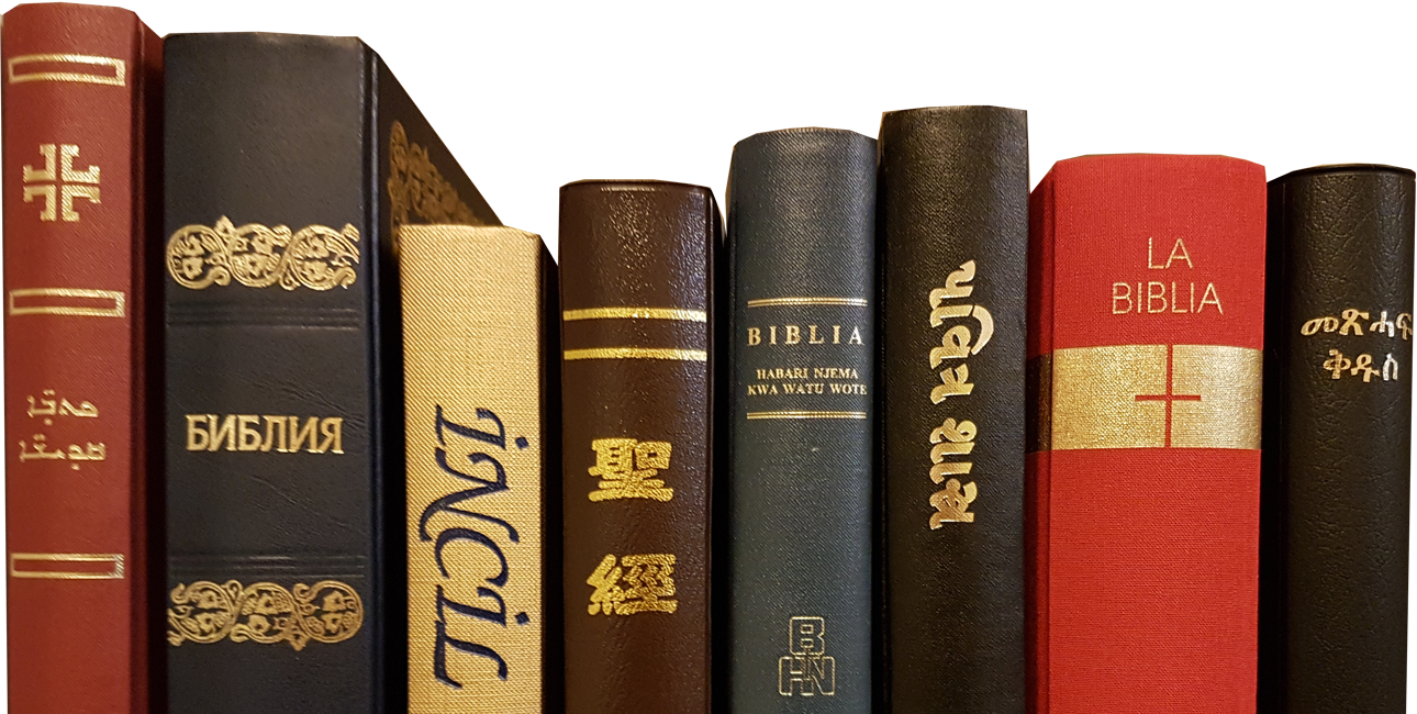Her kan du købe Bibelen på alverdens sprog | Bibelselskabet