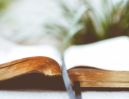 Forside | Bibelselskabet