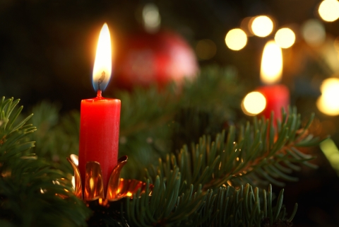 Julens budskab giver os håb og lys | Bibelselskabet